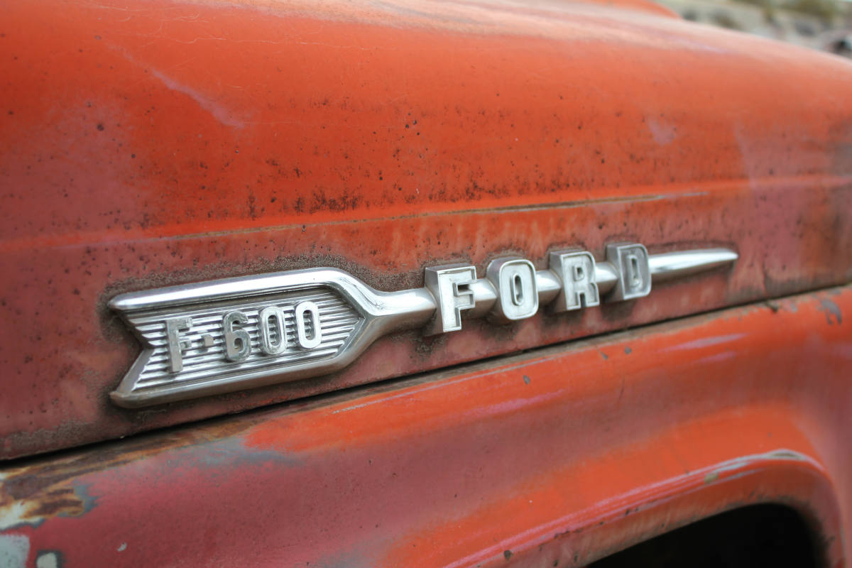 Jigsaw Puzzle | Ford F-600 emblem | 77 pieces | Jigidi