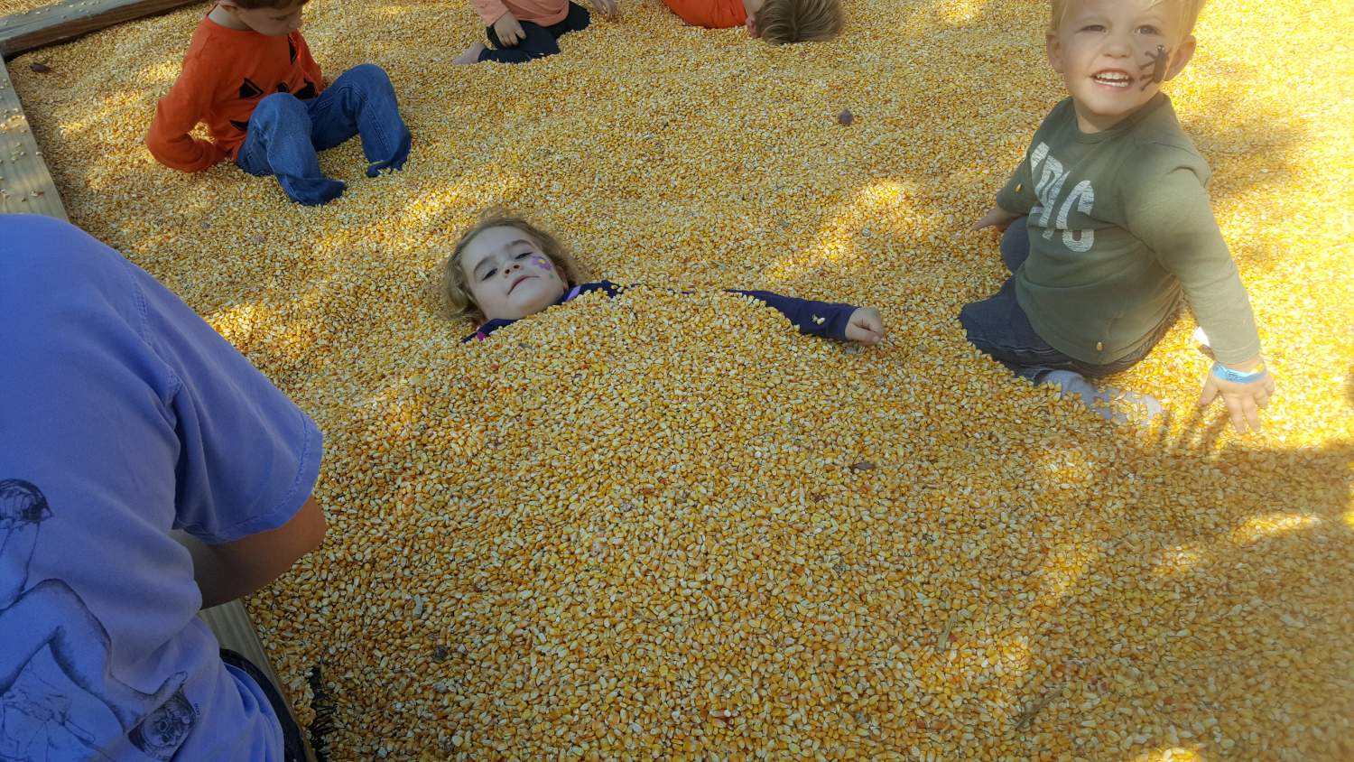 Solve quick corn jigsaw puzzle online with 40 pieces