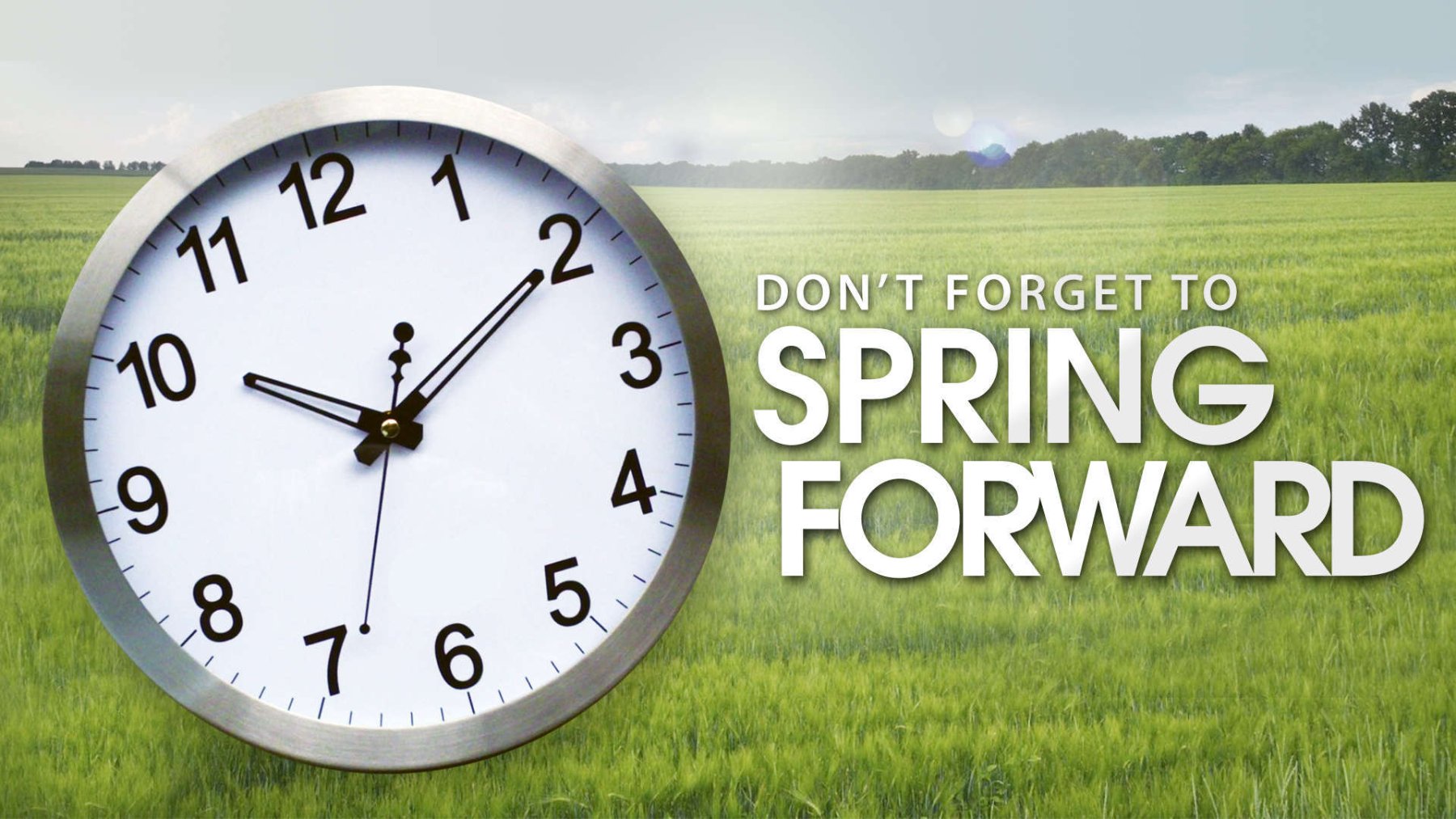 Jigsaw Puzzle | 45 pieces | Spring Forward | Jigidi
