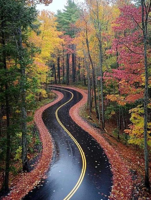 Solve Nature jigsaw puzzle online with 99 pieces