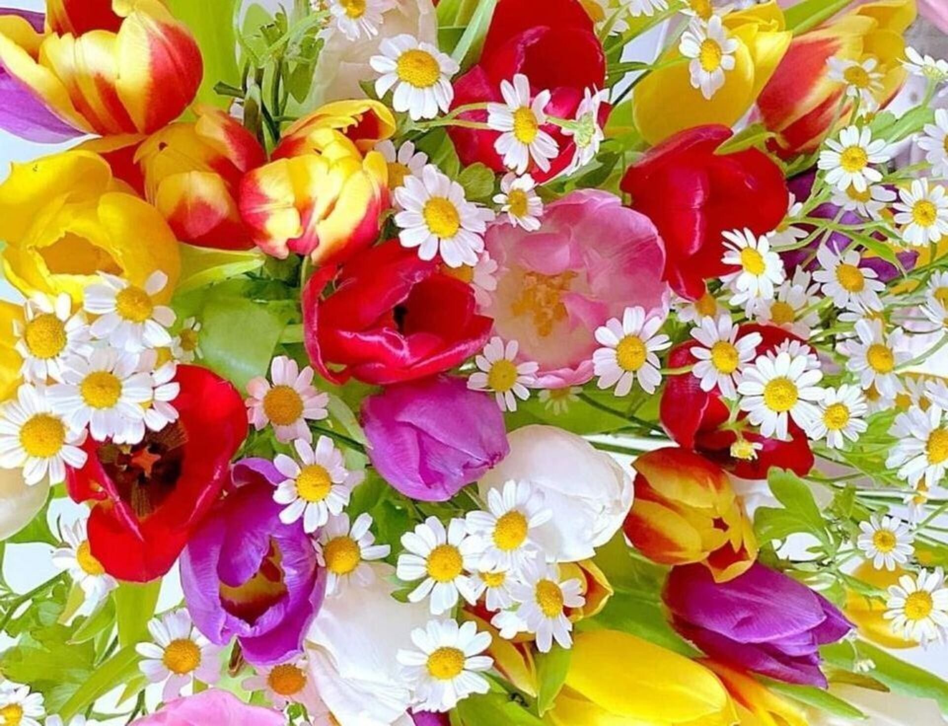 Jigsaw Puzzle | 594 pieces | flowers | Jigidi
