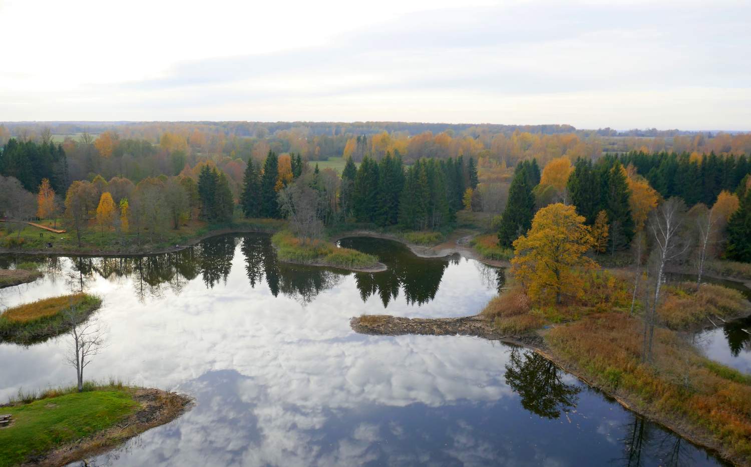 Solve Autumn in Lithuania jigsaw puzzle online with 84 pieces