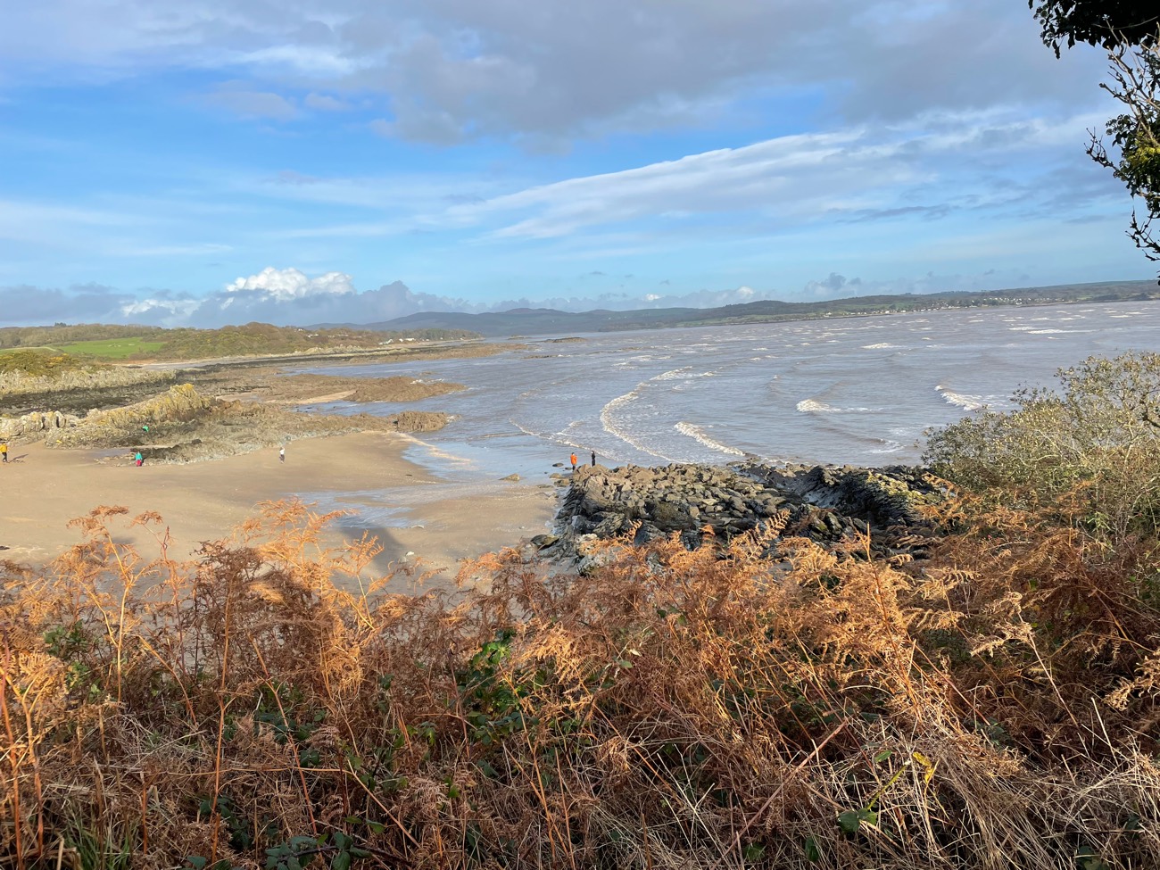 Jigsaw Puzzle | Mossyard beach | 130 pieces | Jigidi