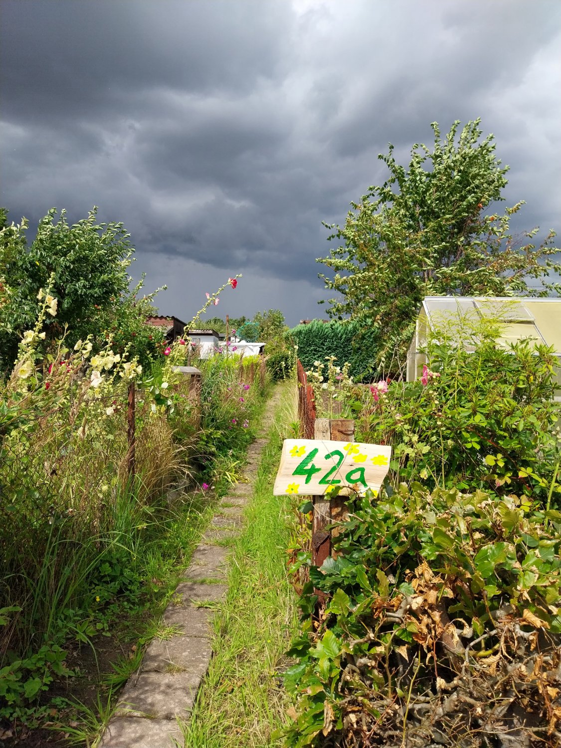 Solve Storm coming jigsaw puzzle online with 500 pieces