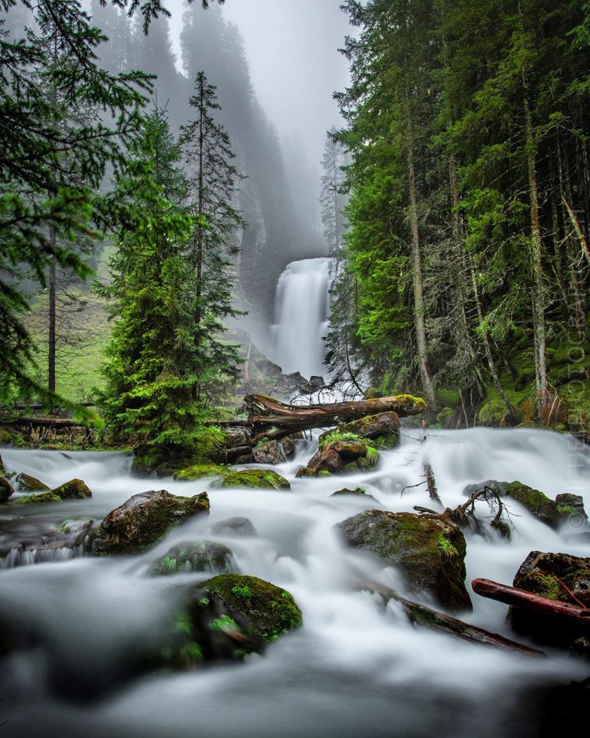 Solve Valdivian temperate forests, from Chile into Argentina 4933 ...