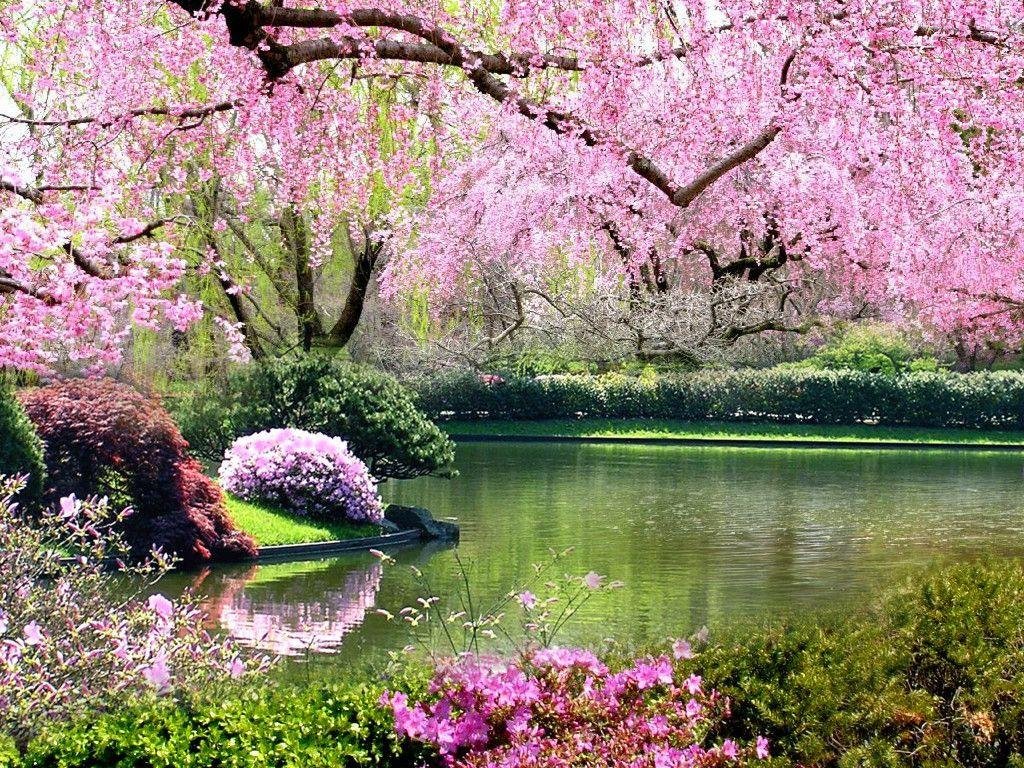 Solve Spring is Near 🌷🌸 jigsaw puzzle online with 80 pieces