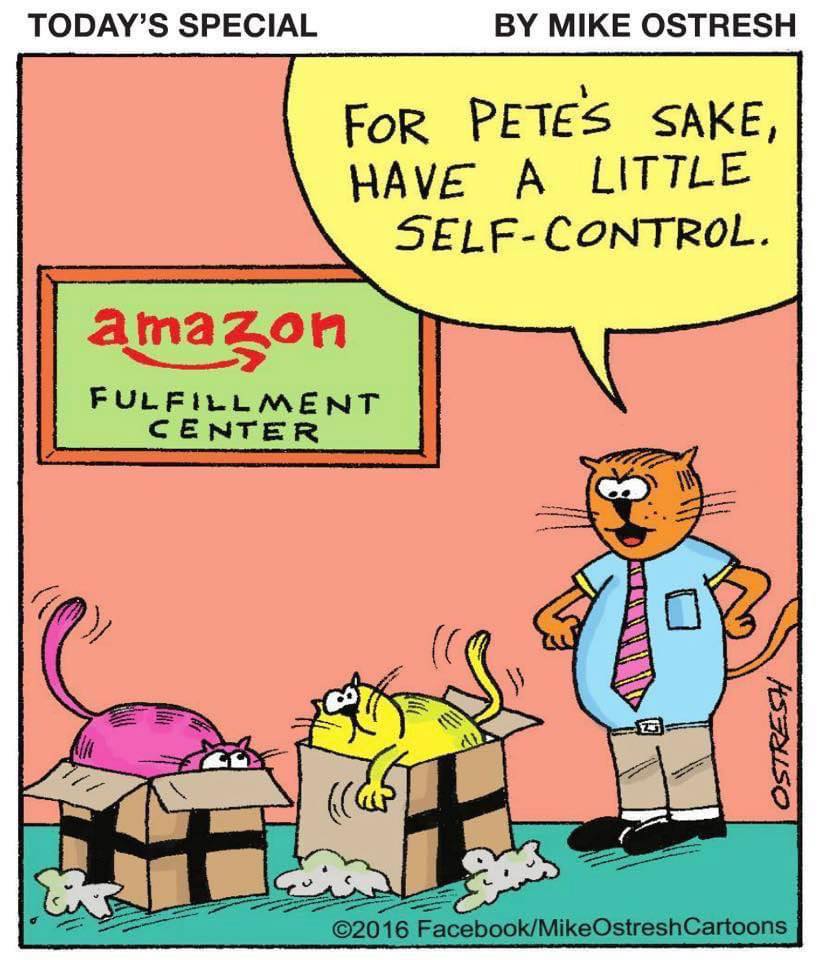 Solve Self Control jigsaw puzzle online with 72 pieces