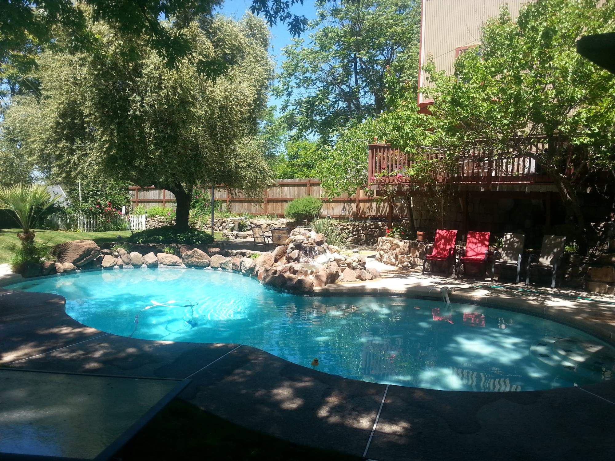 Solve Best Backyard Ever jigsaw puzzle online with 204 pieces