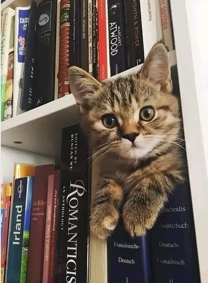 Solve Taking a Break jigsaw puzzle online with 154 pieces