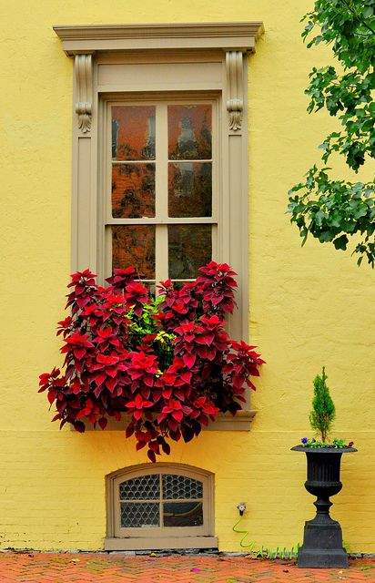 Solve BEAUTIFUL WINDOW jigsaw puzzle online with 60 pieces