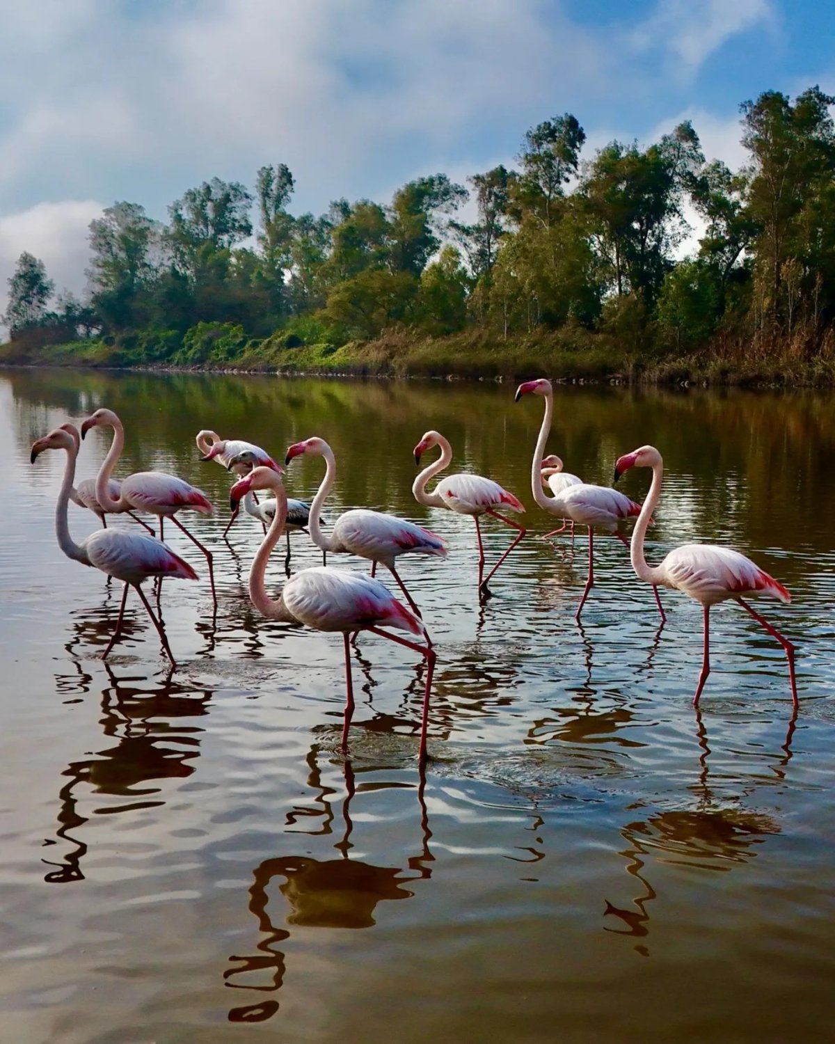 Solve 1 jigsaw puzzle online with 594 pieces