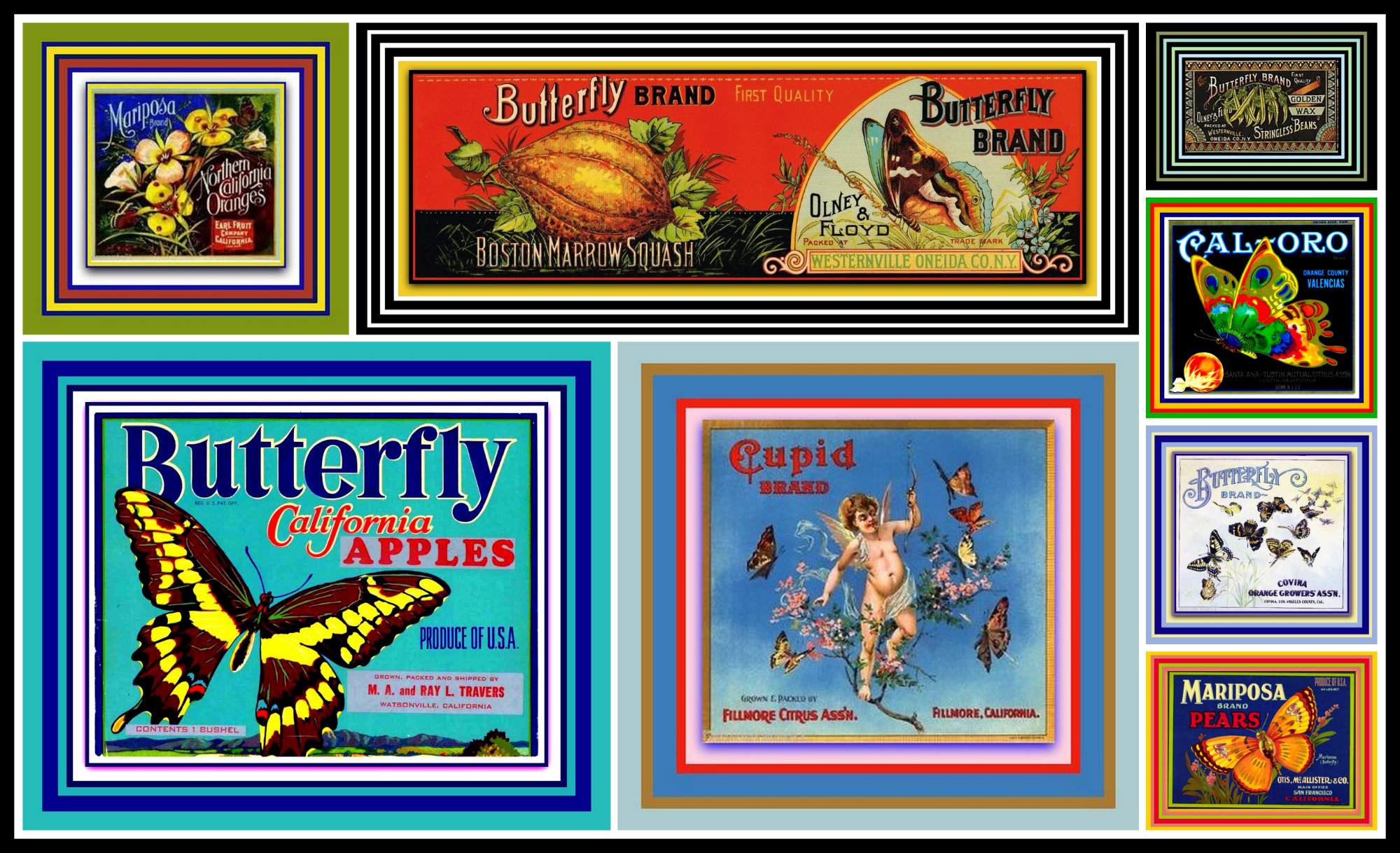 Solve Beautiful Butterflies on Vintage Fruit Crate Labels jigsaw puzzle ...