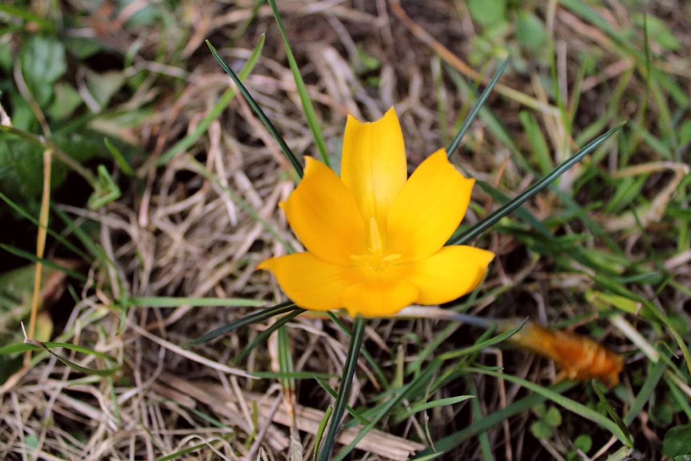 Solve "Introvert" se postaral o potomka, kterého však cosi okousalo ...