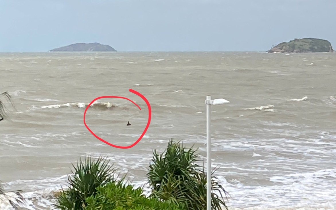 Solve Cyclone defying swimmer 😳 jigsaw puzzle online with 15 pieces