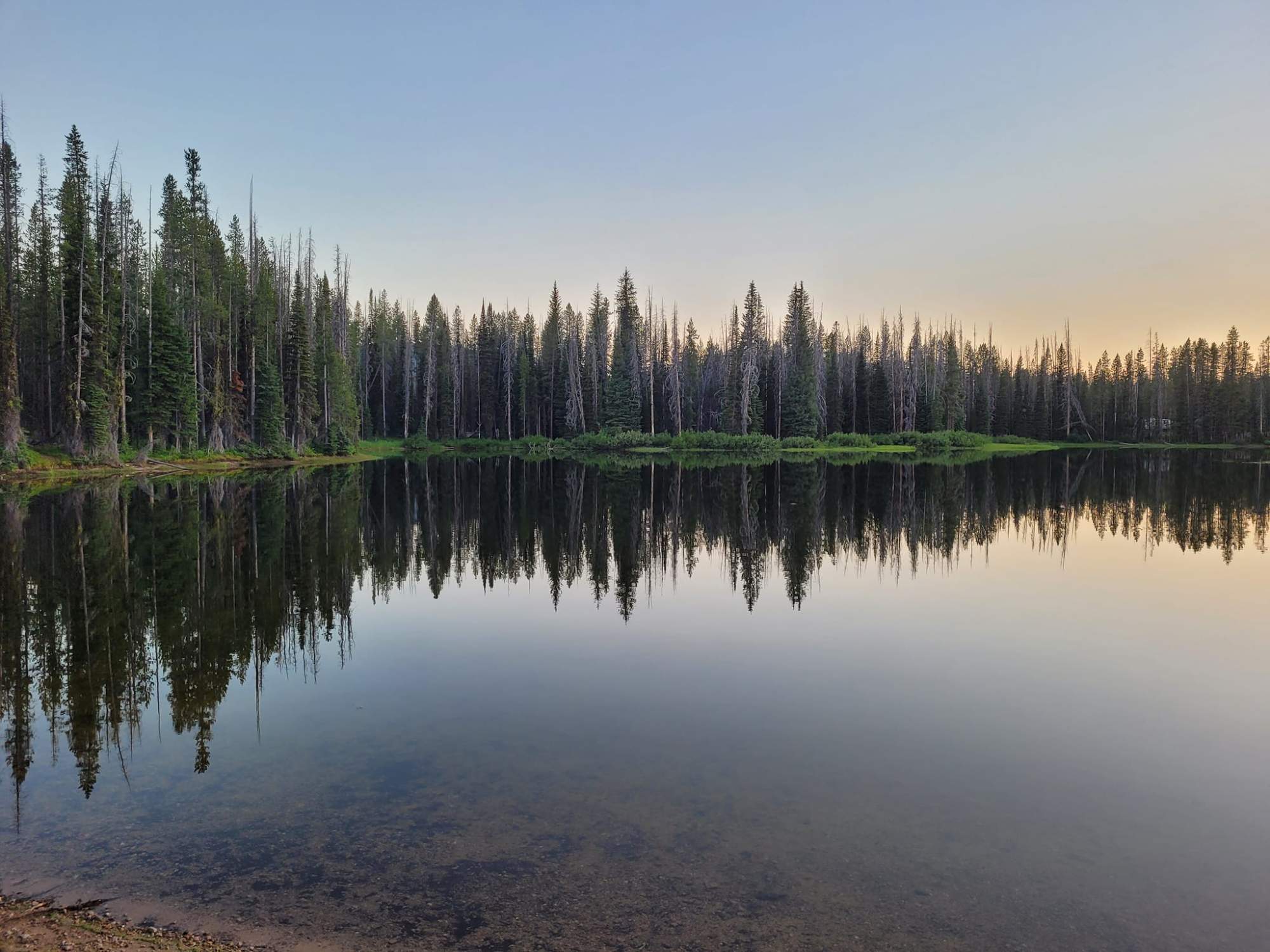 Solve mirror mirror jigsaw puzzle online with 221 pieces