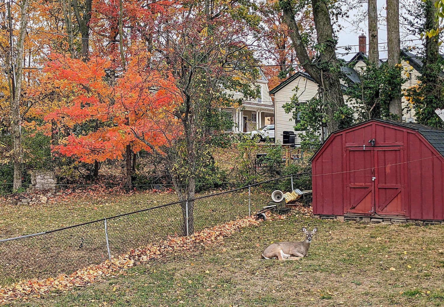 Solve fall scene jigsaw puzzle online with 35 pieces