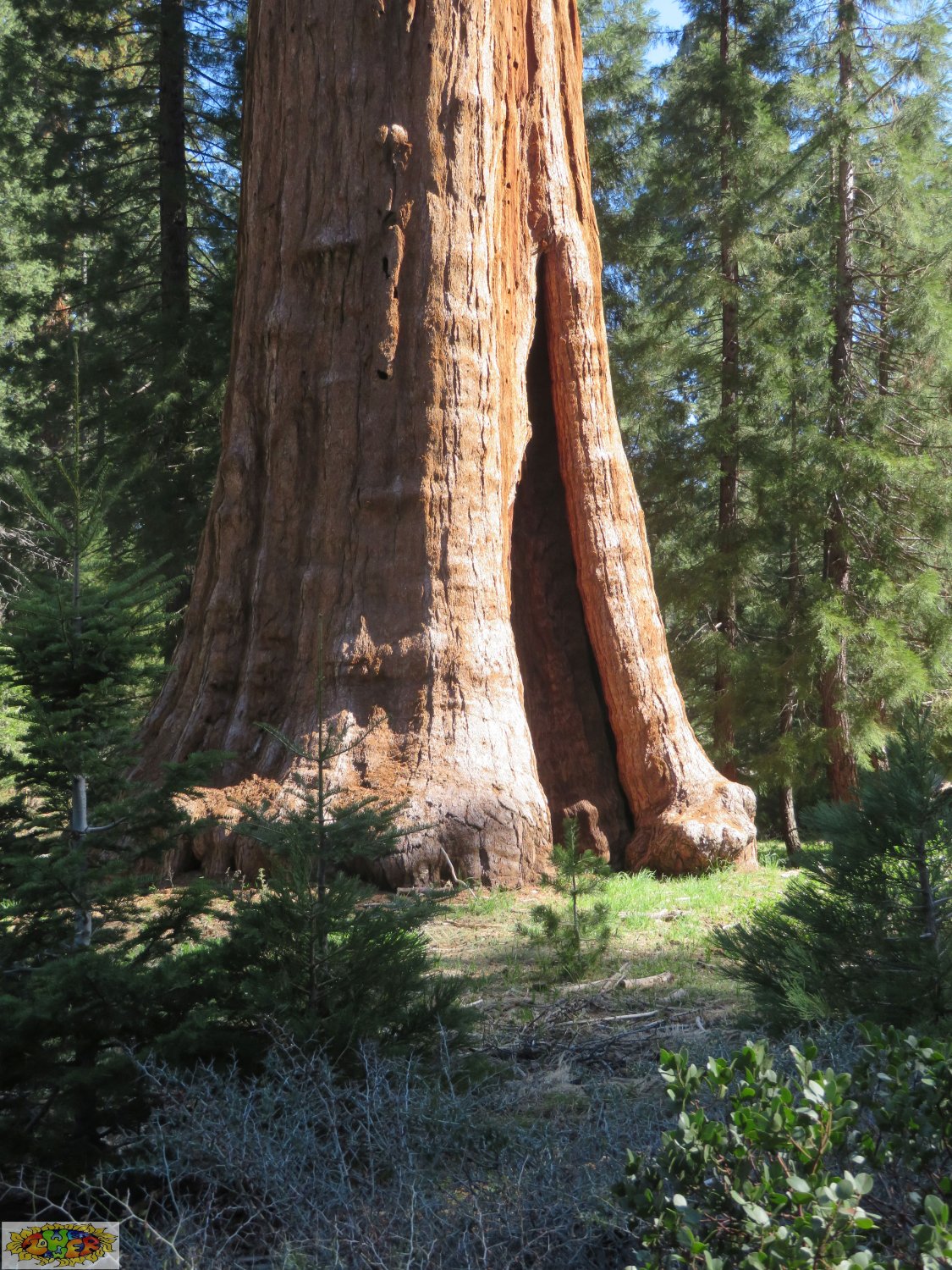 Solve The Sentinel jigsaw puzzle online with 88 pieces