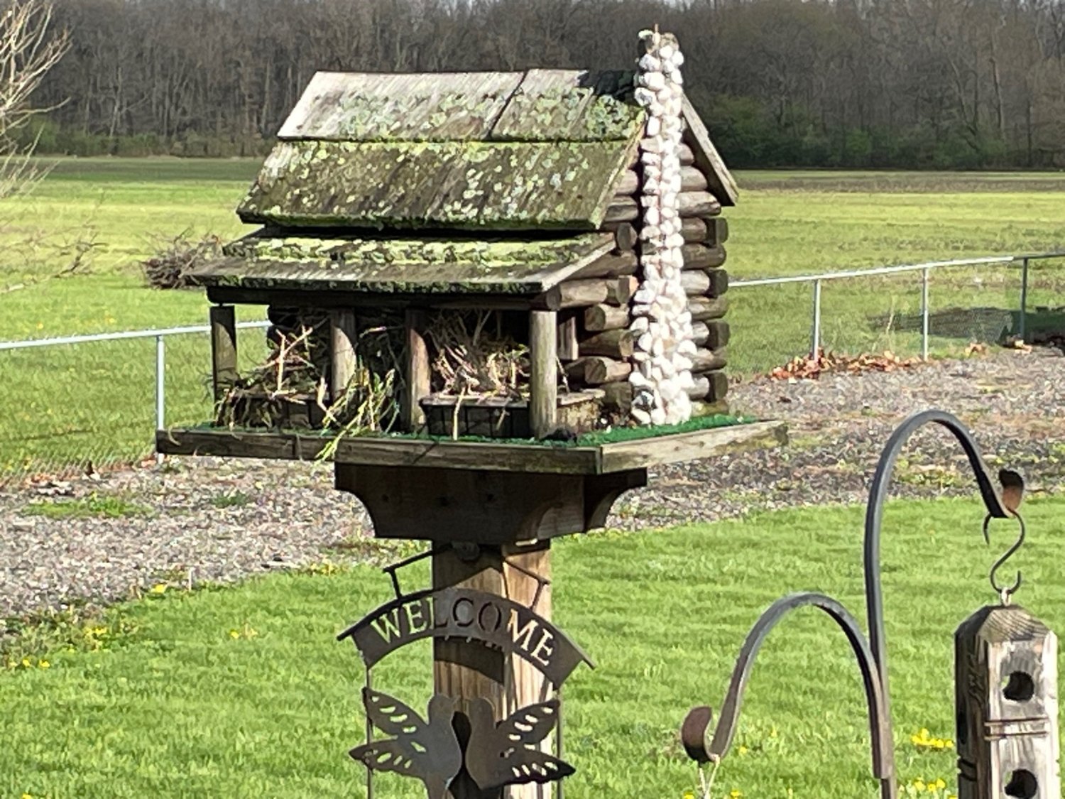 Solve My Bird Feeder jigsaw puzzle online with 12 pieces