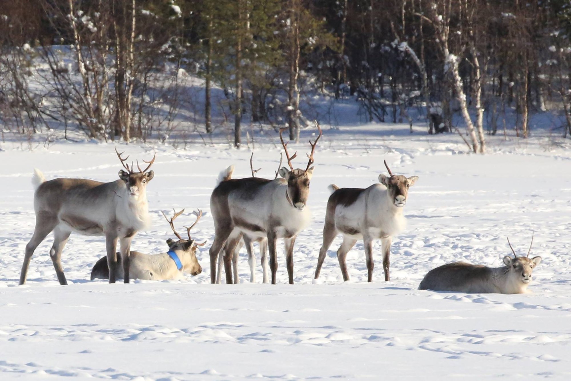 Solve porot jigsaw puzzle online with 247 pieces