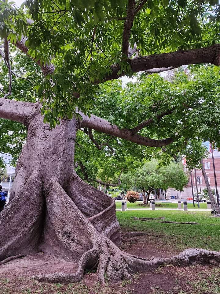 Solve strom jigsaw puzzle online with 108 pieces