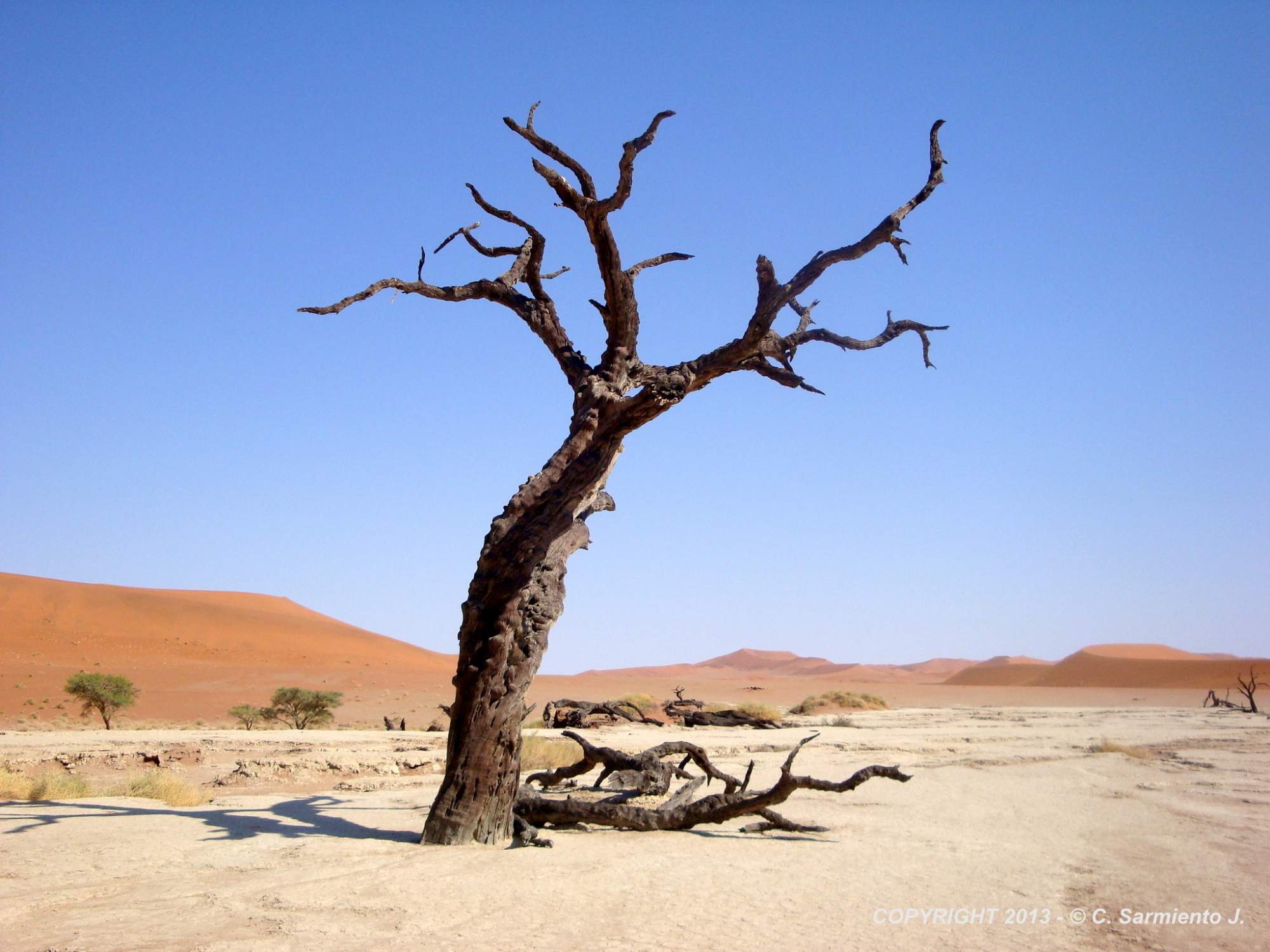 Solve NAMIBIA – Namib-Naukluft National Park - Sossusvlei - Old, death ...