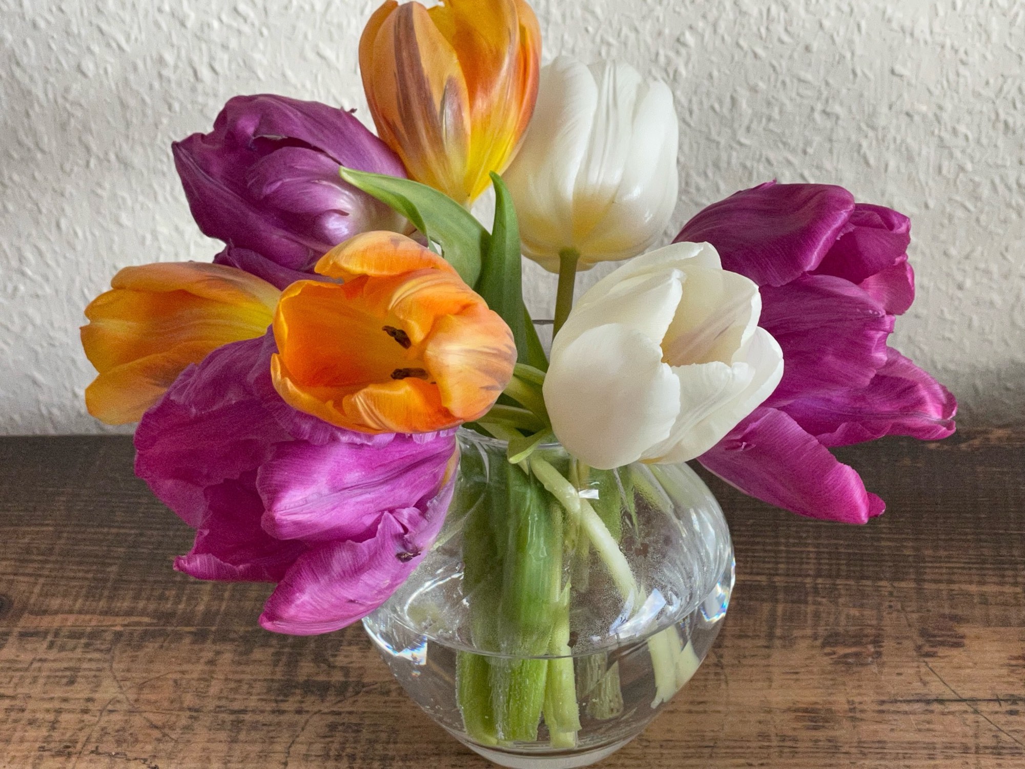 Solve Tulips jigsaw puzzle online with 300 pieces