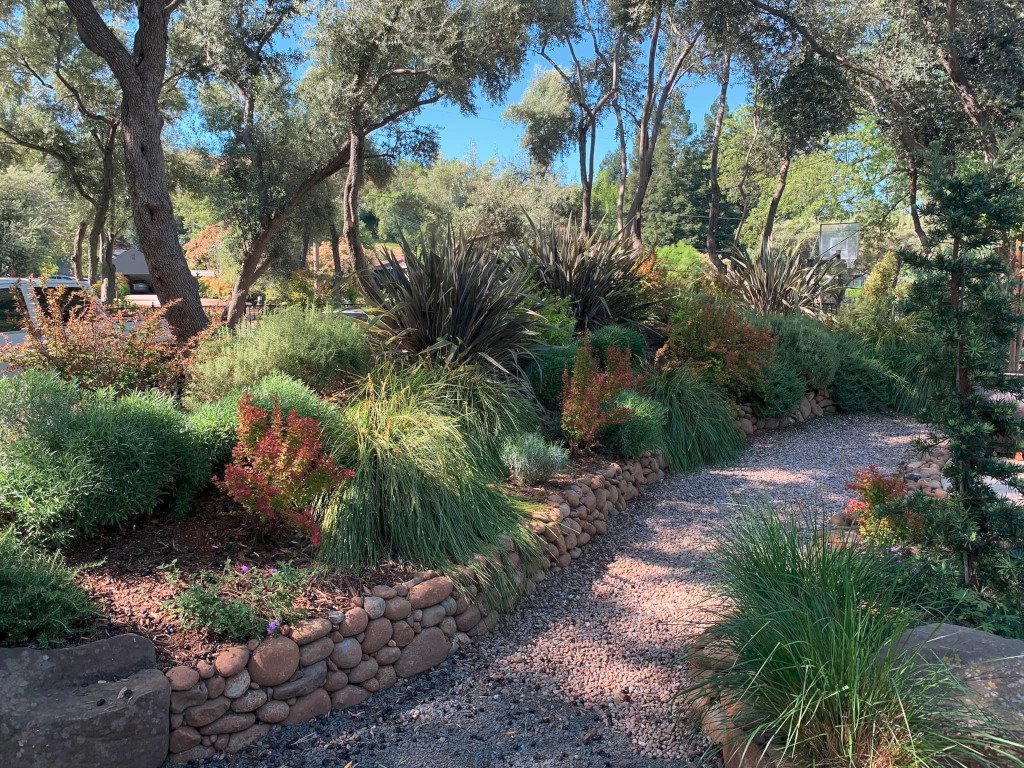 Solve Native Plants Pathway jigsaw puzzle online with 63 pieces