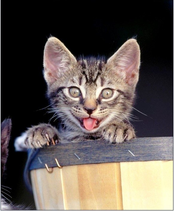 Solve Úsměv_Smile jigsaw puzzle online with 63 pieces