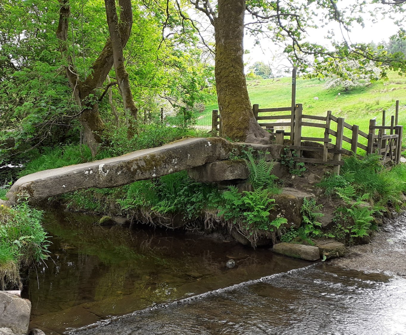 Solve Clam Bridge, Wycoller, Lancashire jigsaw puzzle online with 20 pieces