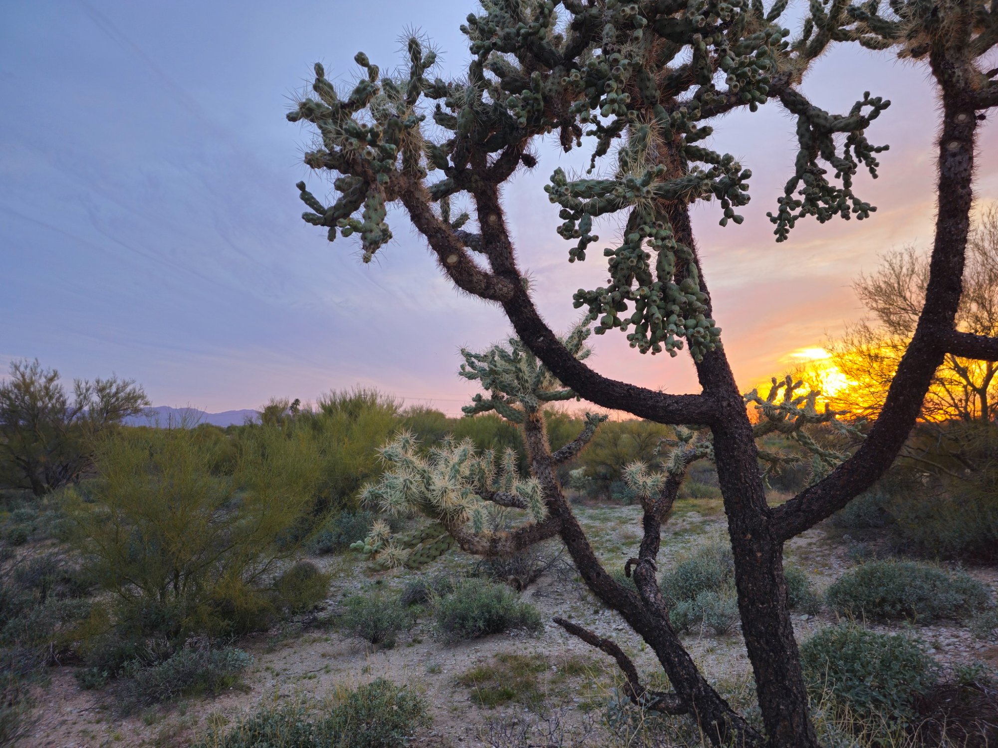 Solve Sunset Tucson jigsaw puzzle online with 540 pieces