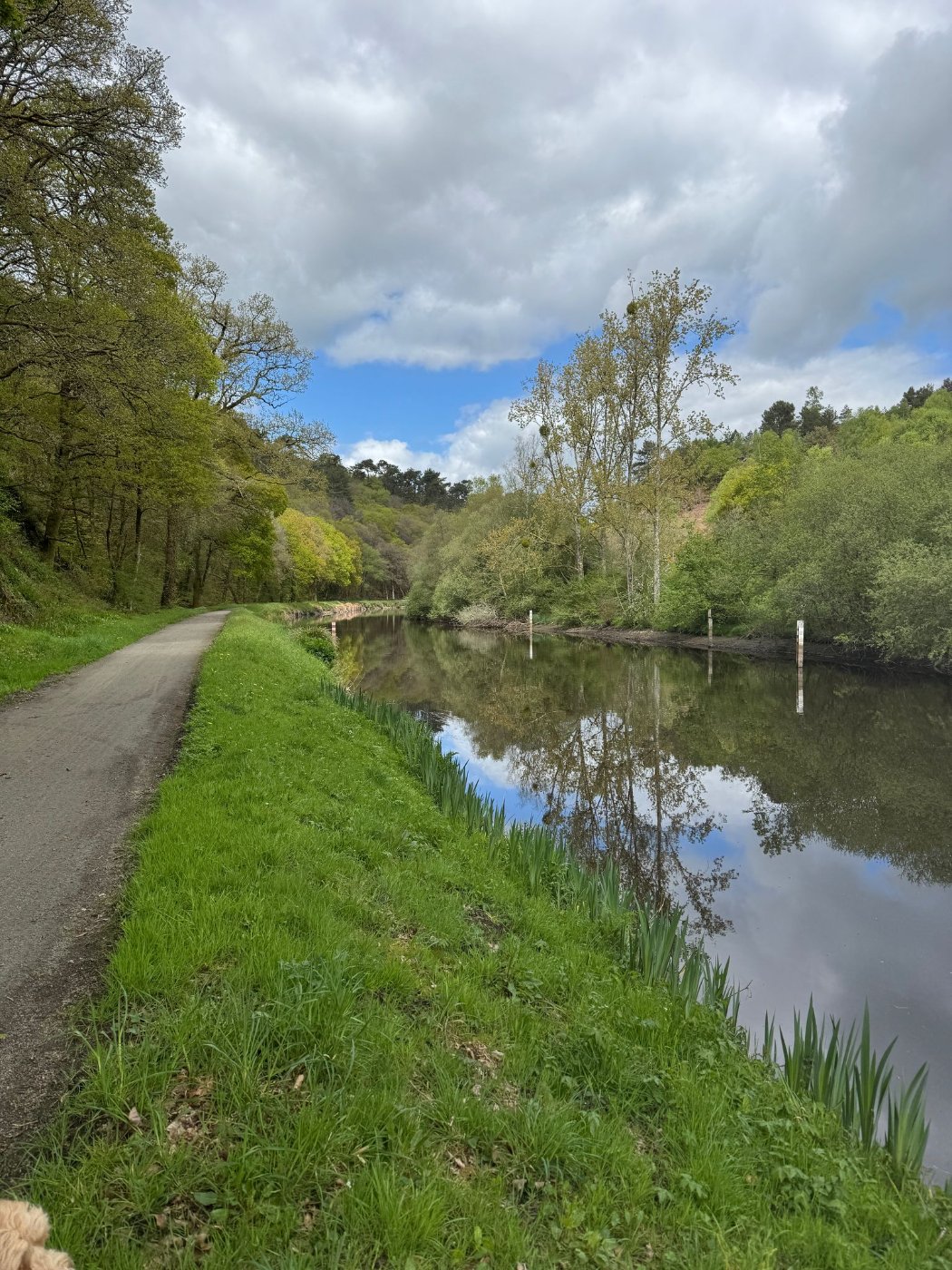 Solve Walking in Bretagne by Eva 22.04.2025 jigsaw puzzle online with ...