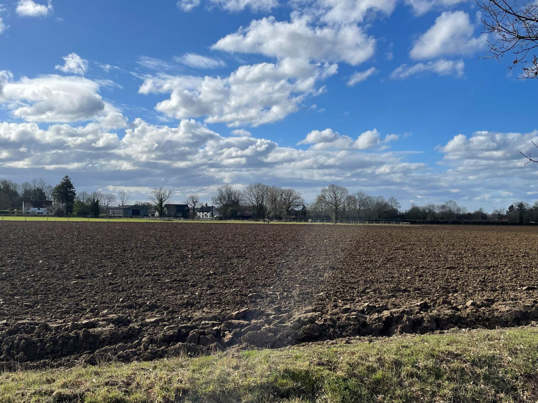 Jigsaw Puzzle | 176 pieces | Field View | Jigidi