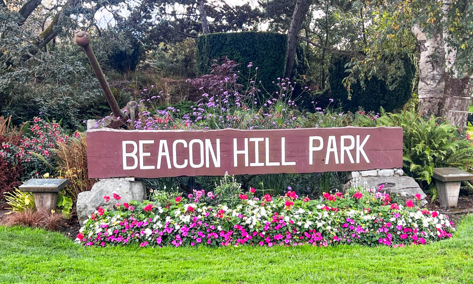 Solve Welcome to the beautiful Beacon Hill Park in Victoria BC jigsaw ...