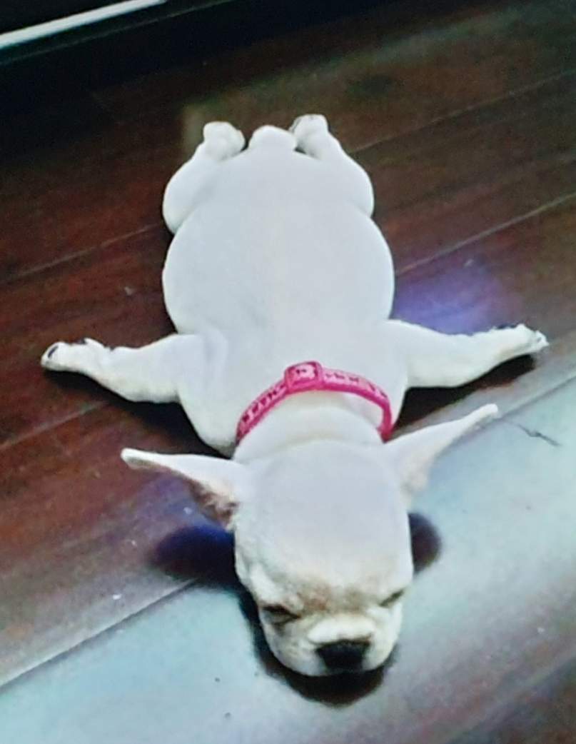 Solve I'm practicing floating on my stomach so when I get to the beach ...