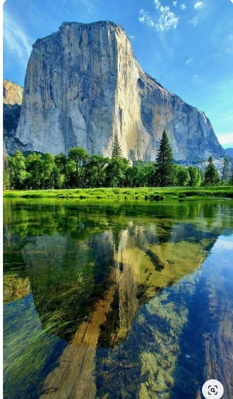 Solve Amazing reflection! jigsaw puzzle online with 40 pieces