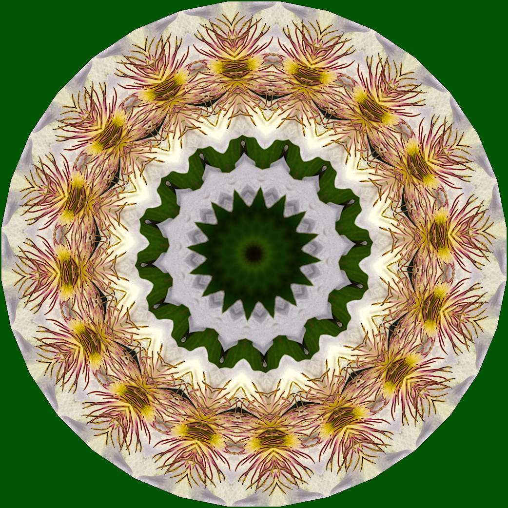 Solve #1 very small jigsaw puzzle online with 25 pieces