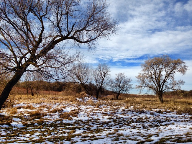 Solve Blue Sky jigsaw puzzle online with 30 pieces