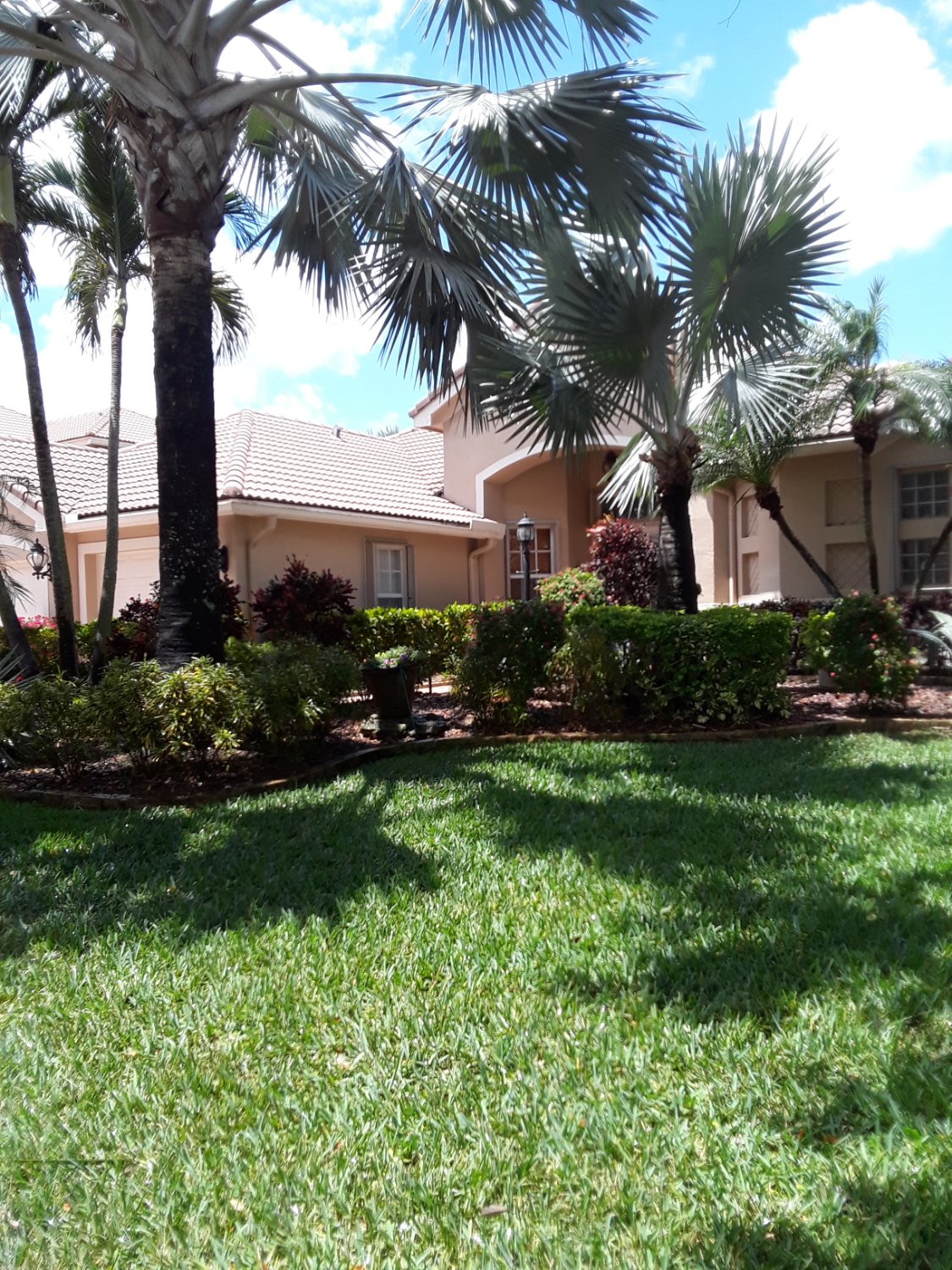 Solve Street view minus the 3 coconut trees. jigsaw puzzle online with ...