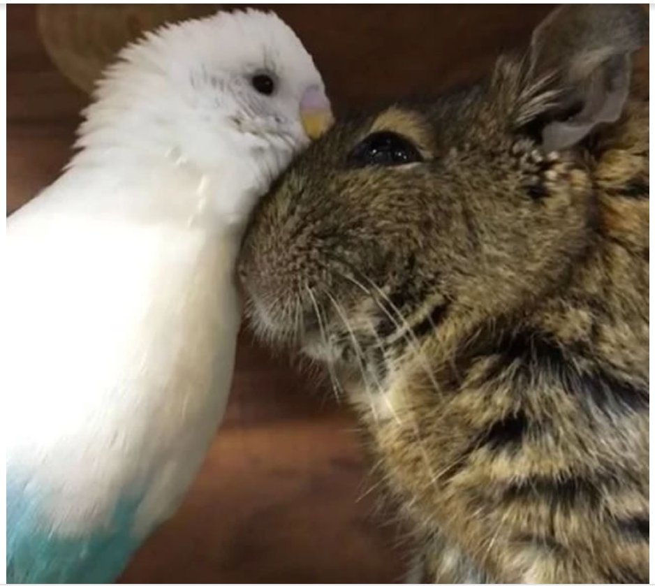 Solve “The Clock Turns, But Kindness Stays. Wishing You Peace in Every ...