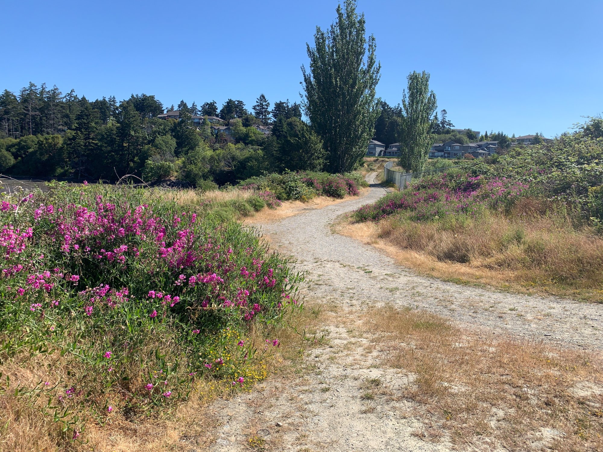 Jigsaw Puzzle | 130 pieces | A hot day on a dusty walking trail in ...