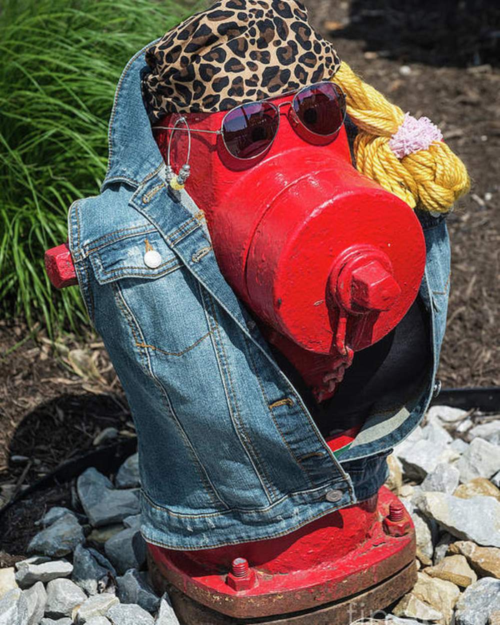 Solve Gary Whitton - Fire Hydrant Decorated As Red Dog jigsaw puzzle online with 80 pieces