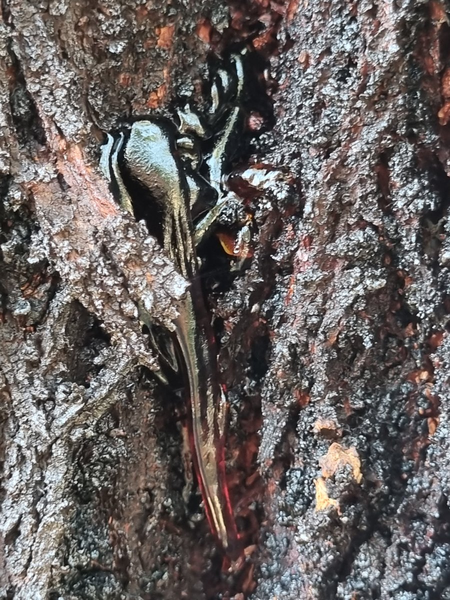 Solve Feather? jigsaw puzzle online with 30 pieces