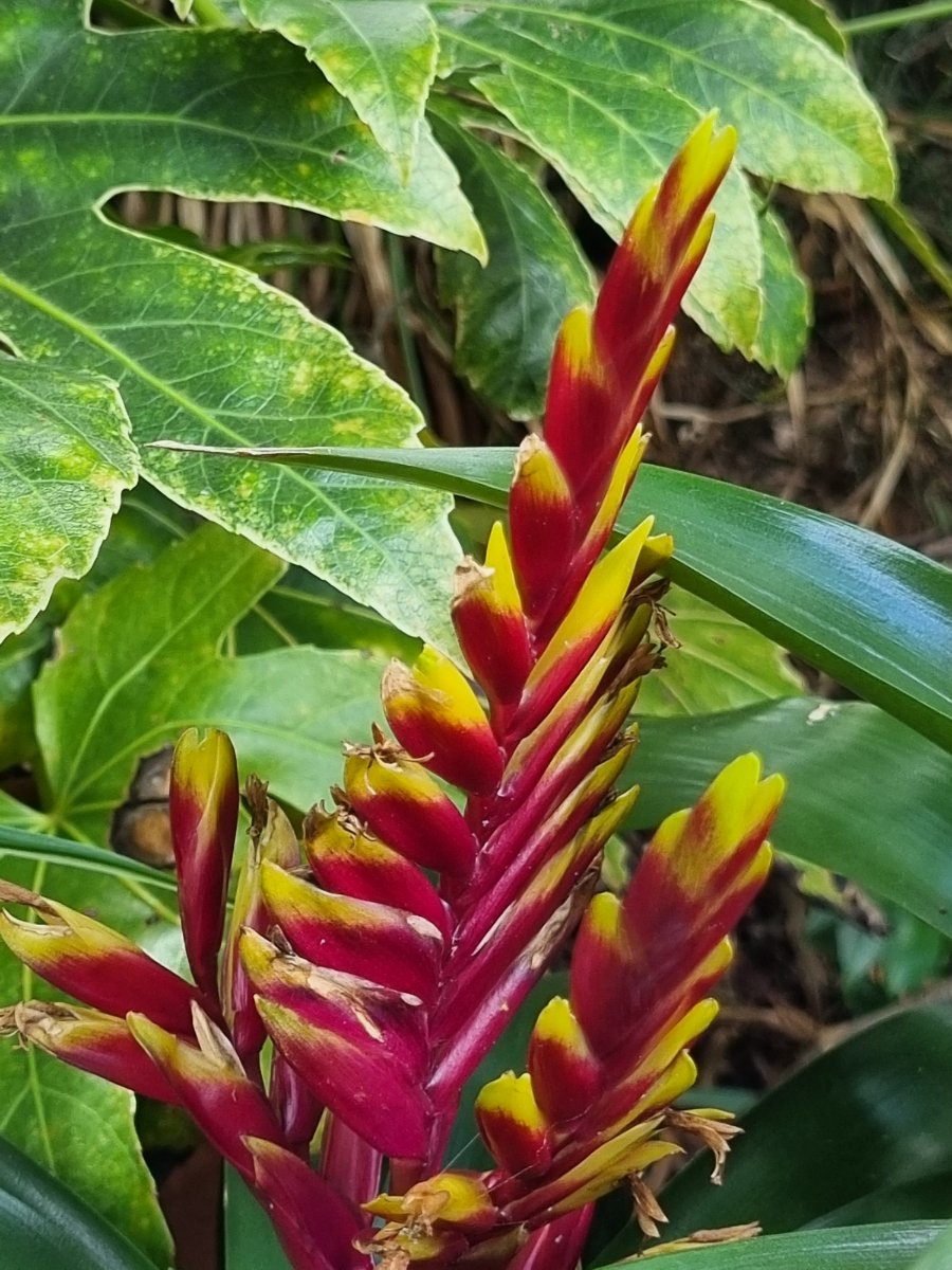 Solve The Other One jigsaw puzzle online with 30 pieces