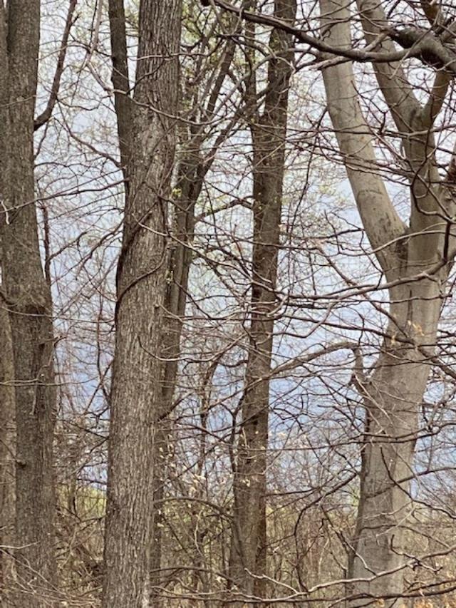 Solve Dark skys jigsaw puzzle online with 20 pieces