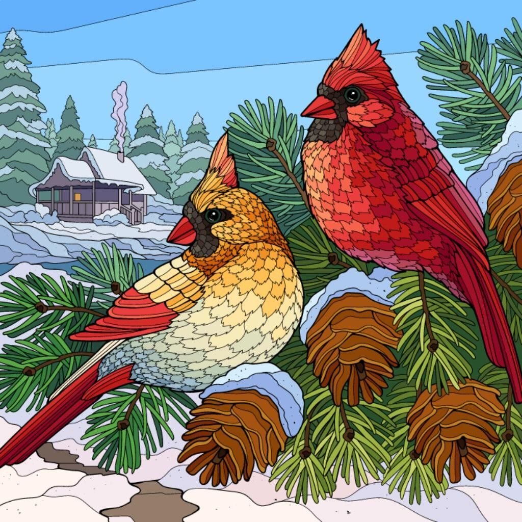Solve PUZZLE - Cardinals In A Pine Tree jigsaw puzzle online with 36 pieces