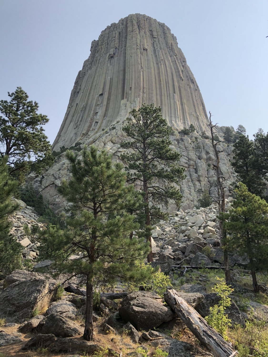 Solve Devils Tower, Wyoming jigsaw puzzle online with 108 pieces