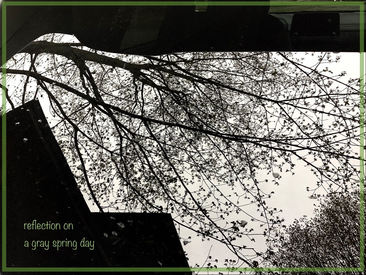 Solve April showers jigsaw puzzle online with 48 pieces