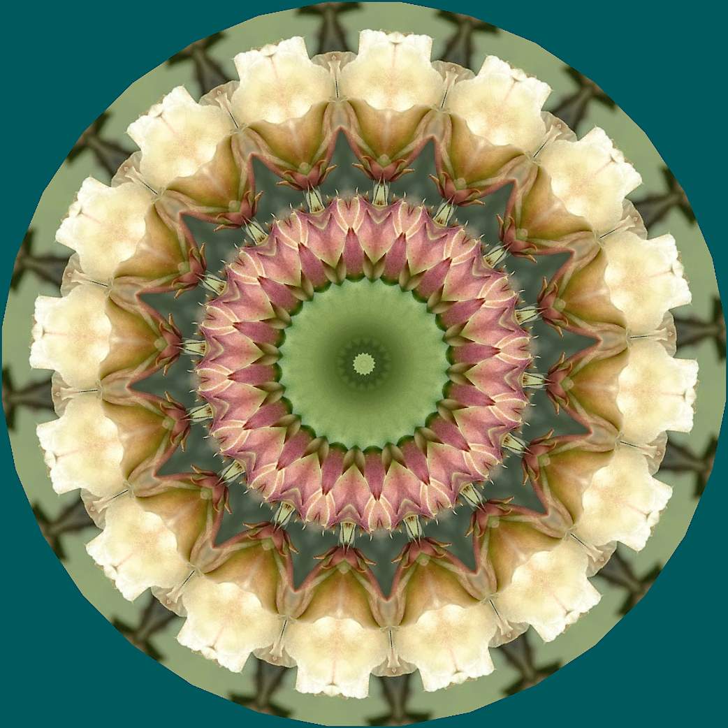 Solve #1 very small jigsaw puzzle online with 25 pieces