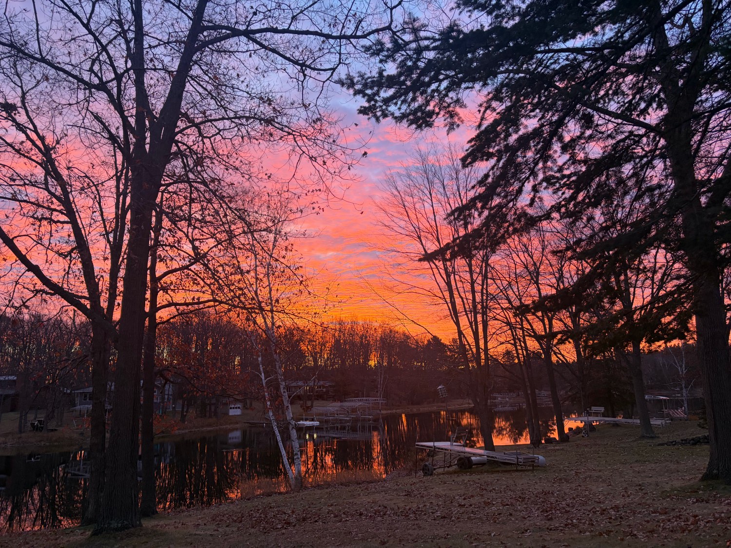 Solve Good Morning jigsaw puzzle online with 12 pieces