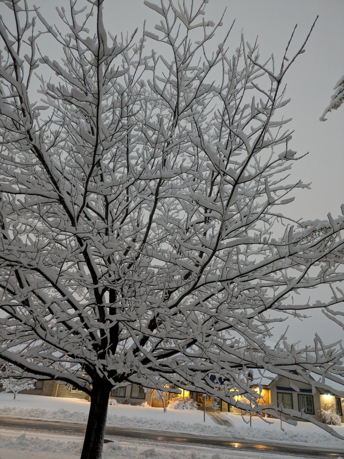 Solve Very early snow in a small Quebec town/Neige très précoce sur une ...